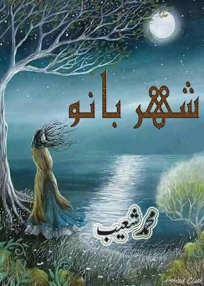 Shehar Bano Urdu Novel By Muhammad Shoaib Pdf - ReadingPk